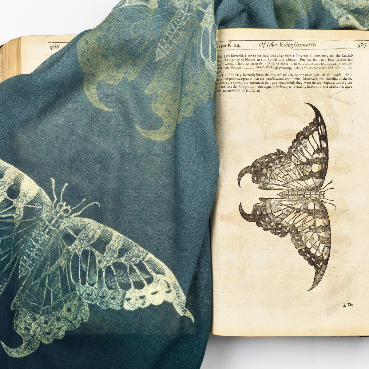 From the Collections – Tagged "Wallet" – Shakespeare Shop