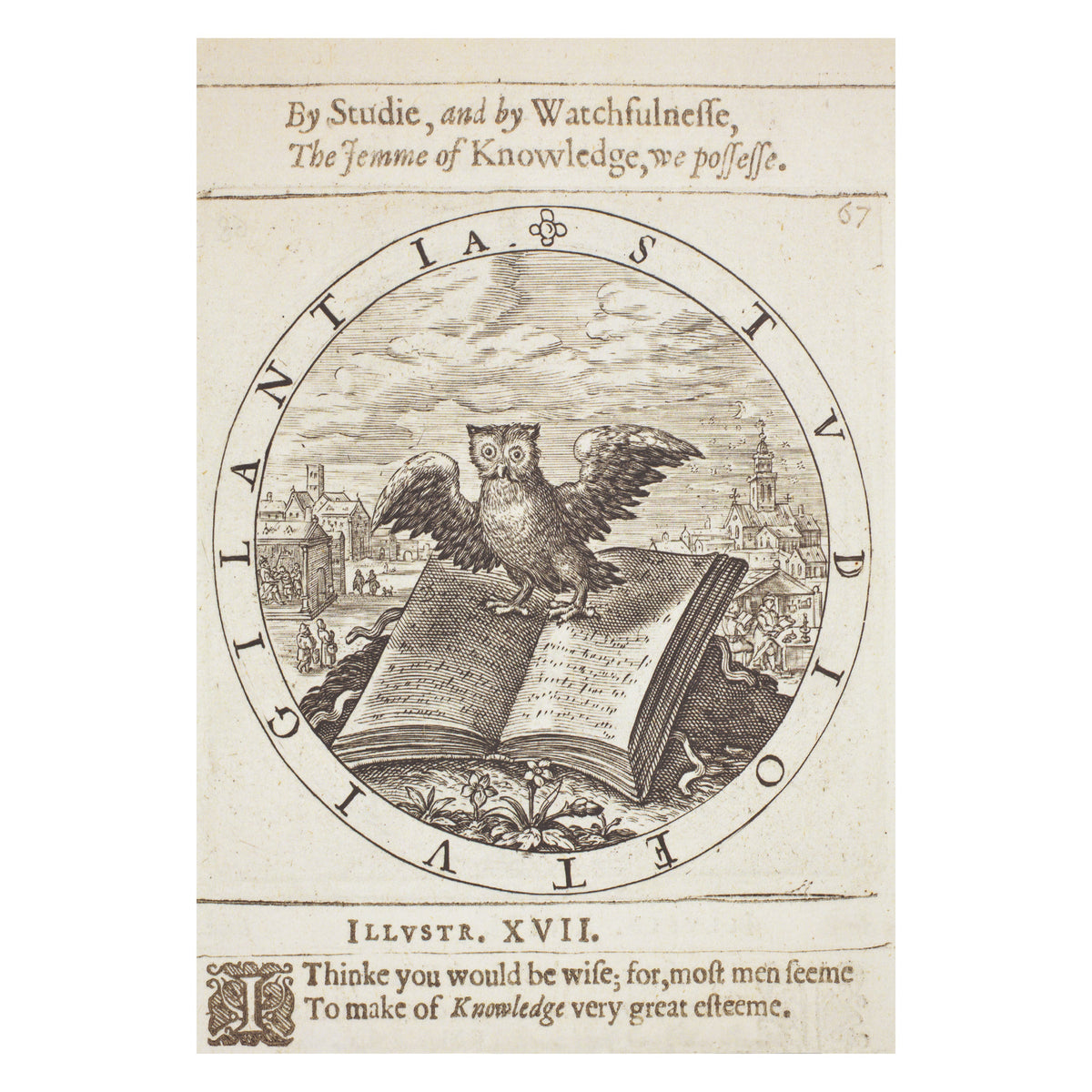 Postcard Owl Emblem – Shakespeare Shop